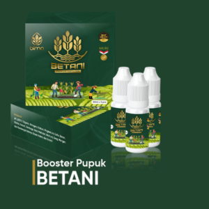 Welcome - Bima Smarter Future